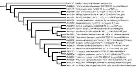Please Encircle The Monophyletic Paraphyletic And