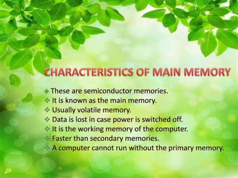 memory of computer system and units of memory pptx data storage and