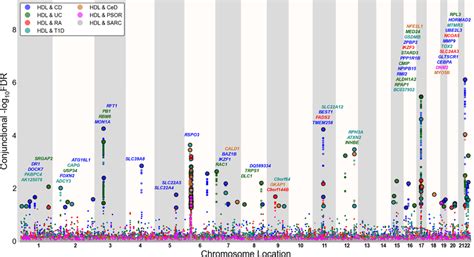 ‘conjunctional fdr manhattan plot of conjunctional download