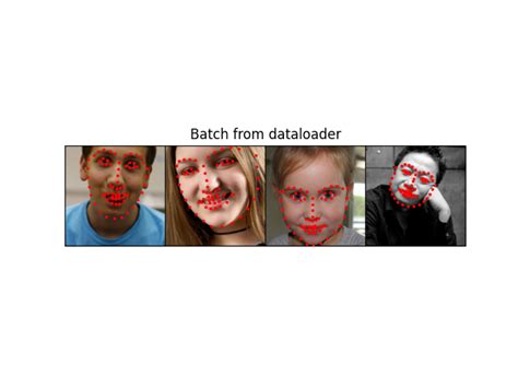 writing custom datasets dataloaders and transforms — pytorch tutorials