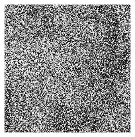 Denoising Results Of Barbara Image With 70 Salt And Pepper Noise A