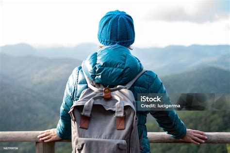 라 고메라의 가라호네이 국립공원에서 자연의 아름다움을 바라보는 백인 여성의 뒷모습 풍경을 감상하는 산을 여행하는 노인 활동적인 여성 오솔길에 대한 스톡 사진 및 기타 이미지