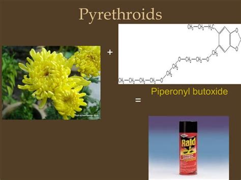 Pyrethroids Ppt