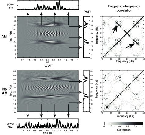 Cross Frequency Correlation In The Wvd Induced By Amplitude Modulation