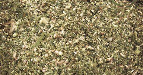 Forage Inoculants And Preservatives Essentials For An Optimal Forage Program Hubbard Feeds