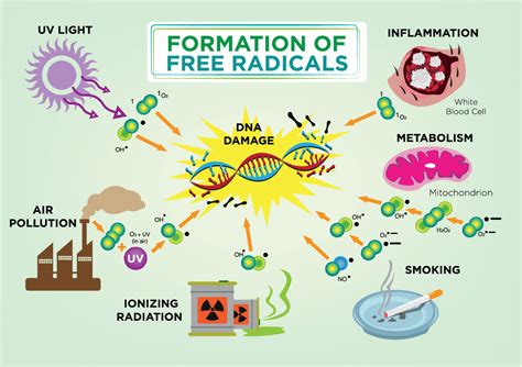 What Are Free Radicals Anyway Solésence