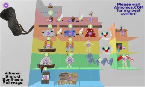 Adrenal Steroid Synthesis Pathways Genially