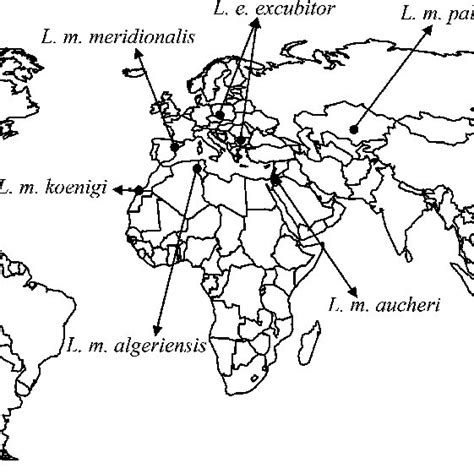 Origin Of The Samples Analyzed In This Work Download Scientific Diagram