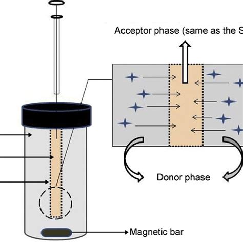 Pdf Hollow Fiber Based Liquid Phase Microextraction Followed By Analytical Instrumental