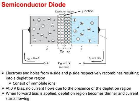 SOLUTION Ecn Diodes Studypool
