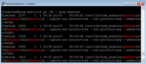 Ghost Process After Running Phantomjs Techy Things