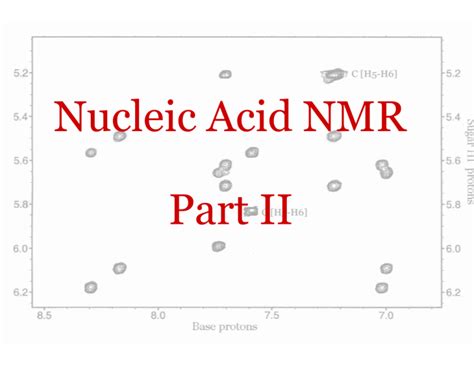 Nucleic Acid Nmr Part Ii