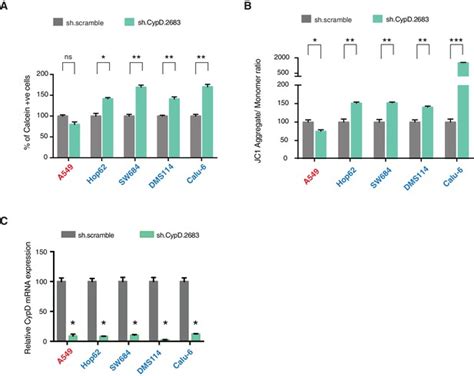 Figures And Data In Tp53 Exon 6 Truncating Mutations Produce Separation Of Function Isoforms