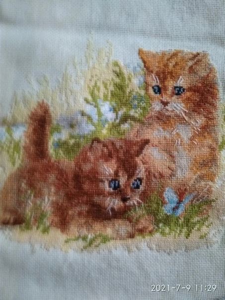Картина готовая работа вышивка крестиком котята от риолис размер готовой работы 25 ×25см