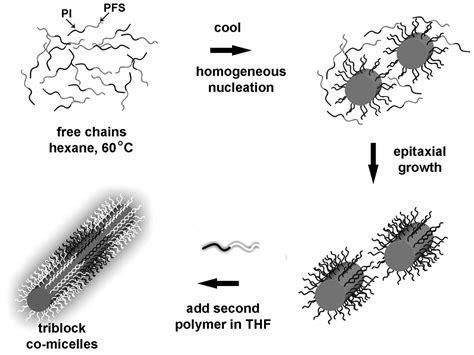 cylindrical block copolymer micelles and co micelles of controlled