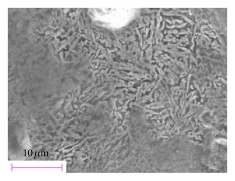 Microstructure Morphology A Before And B After Treatment