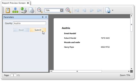 Filtering Report Data Using Lightswitch Query Parameters
