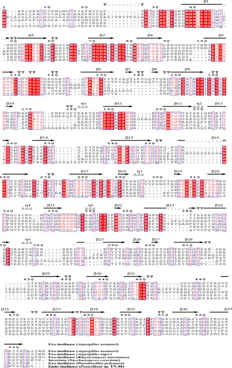 sequence alignment of inulinase representative members download