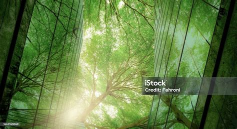 지속 가능한 녹색 건물 환경 친화적 인 건물 이산화탄소 감소를위한 나무가있는 지속 가능한 유리 사무실 건물 녹색 환경이있는 사무실 기업 건물은 Co2를 줄입니다 안전 유리