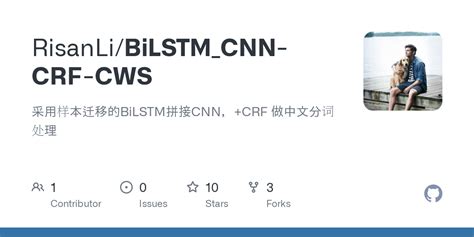 github risanli bilstm cnn crf cws 采用样本迁移的bilstm拼接cnn， crf 做中文分词处理