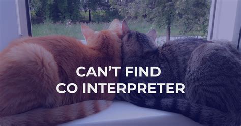 I Cant Find A Co Interpreter For My Booking What Do I Do