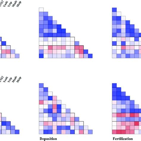 Correlograms Of Relationships Between Expression Of Ppp Genes Gene