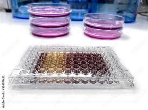 Laboratory Setup For Biocompatibility Assessment Of New Substances By The Means Of Mtt Assay And