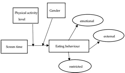 the proposed moderation model demonstrating the conditional effect of
