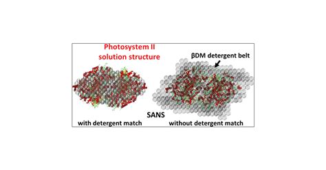 Detergent Structure