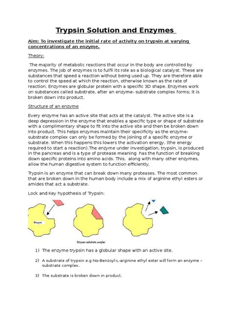 Enzymes Report Biology As Core Practical Write Up Edexcel Pdf Active Site Trypsin