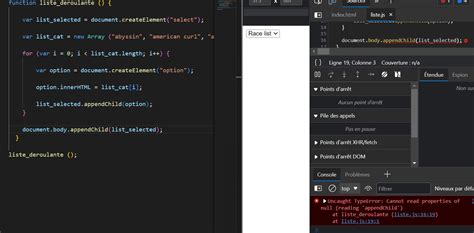 Probleme fonction js Résolu Javascript