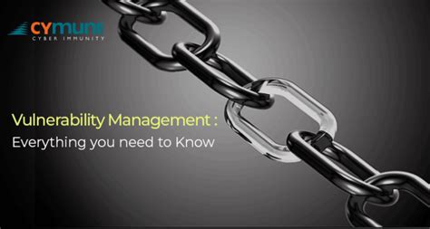 Vulnerability Management Strategy Everything You Need To Know Cymune