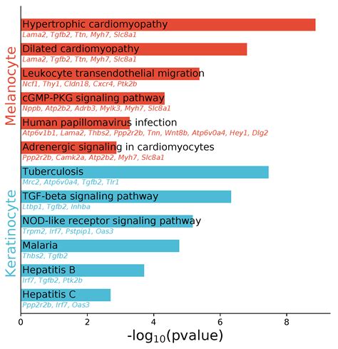 微生信 在线生物信息学分析、可视化云平台