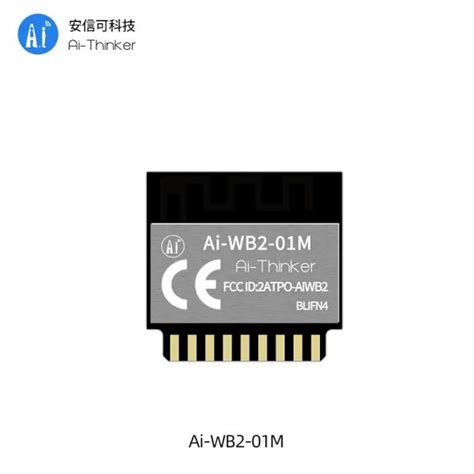 Wifible 투인원모듈 Ai Wb2 01m 디바이스마트