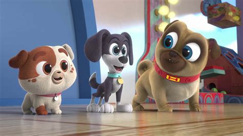 100 Puppy Dog Pals Wallpapers
