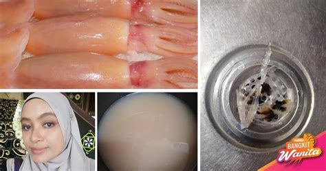 Punya Semangat Nak Masak Sambal Sotong Sebaik Masuk Periuk Tekanan Lain Jadinya