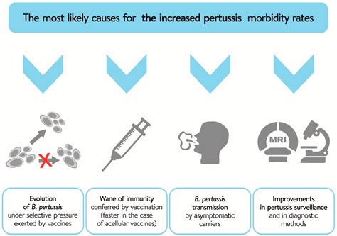 Vaccines Free Full Text Evaluation Of Whole Cell And Acellular Pertussis Vaccines In The