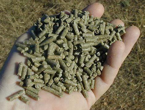 White Tailed Deer Protein Needs Dietary Requirements