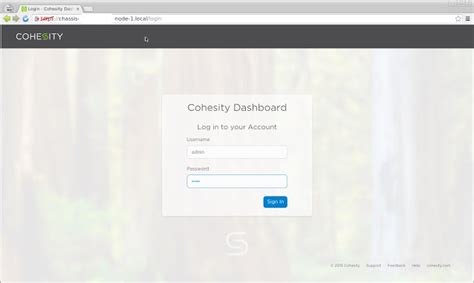 back to basics cohesity initial cluster setup