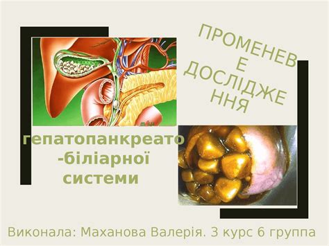 Радиология презентация Презентации Радиология Docsity