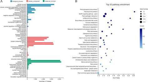 Comparative Transcriptome Analysis Of Roots Stems And Leaves Of Pueraria Lobata Willd Ohwi
