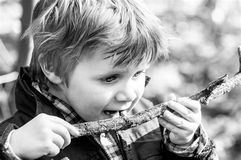 Naughty Food Nature Free Photo On Pixabay Pixabay