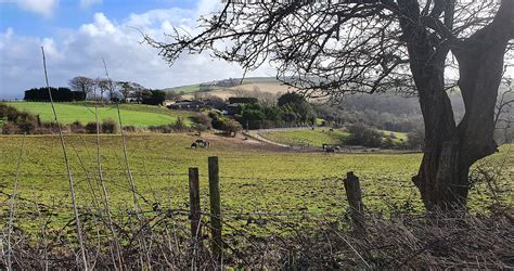 Clayton Hill Sussex Mark Flickr