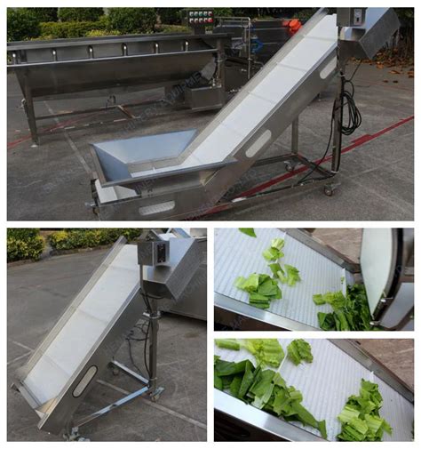 아스파라거스 절단 세척 가공 라인브로콜리 생산 기계야채 가공 기계 라인 Buy 과일 및 야채 절단 기계과일 야채 세척 기계furit 세탁기 Product On