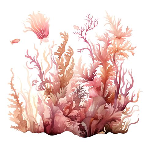 Premium Ai Image Beautiful Pink Seaweed And Kelp Beds Watercolor