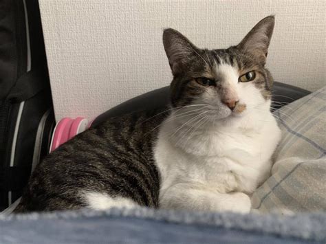 Kubernetesのsample Controllerで遊ぶ