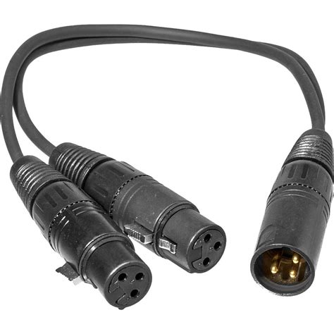 What Is Xlr Male And Female At Jennifer Hubbard Blog