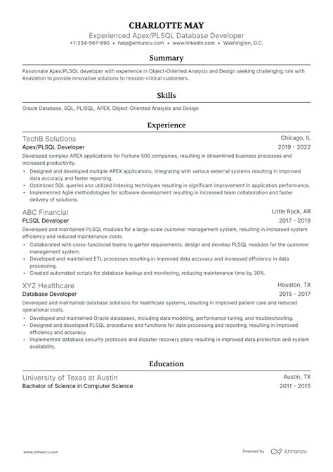 Database Developer Resume Examples Templates Guide For
