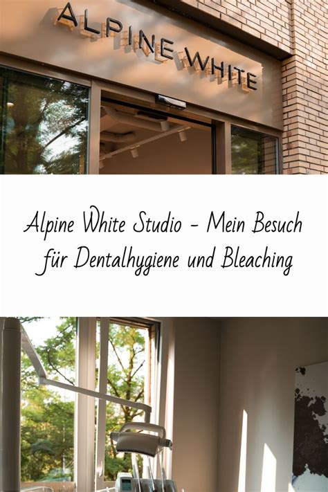 Review: Shiseido WASO Gesichtspflege | The Chic Advocate