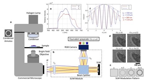 Quantitative Histopathology Of Stained Tissues Using Color Spatial Light Interference Microscopy